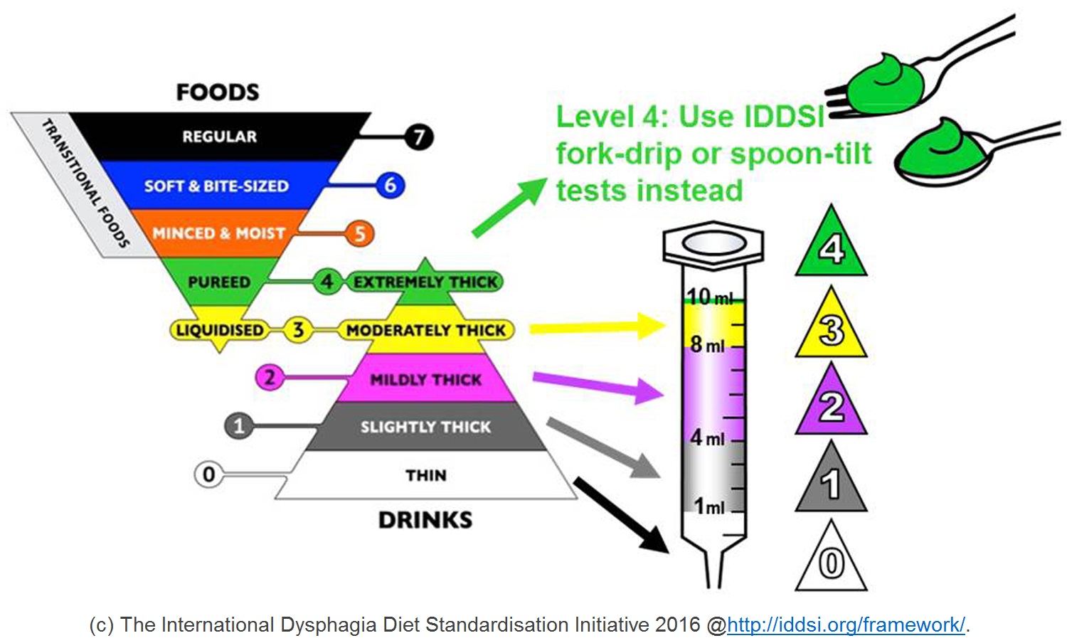 Flow test – Swallowing Rehabilitation Research Lab